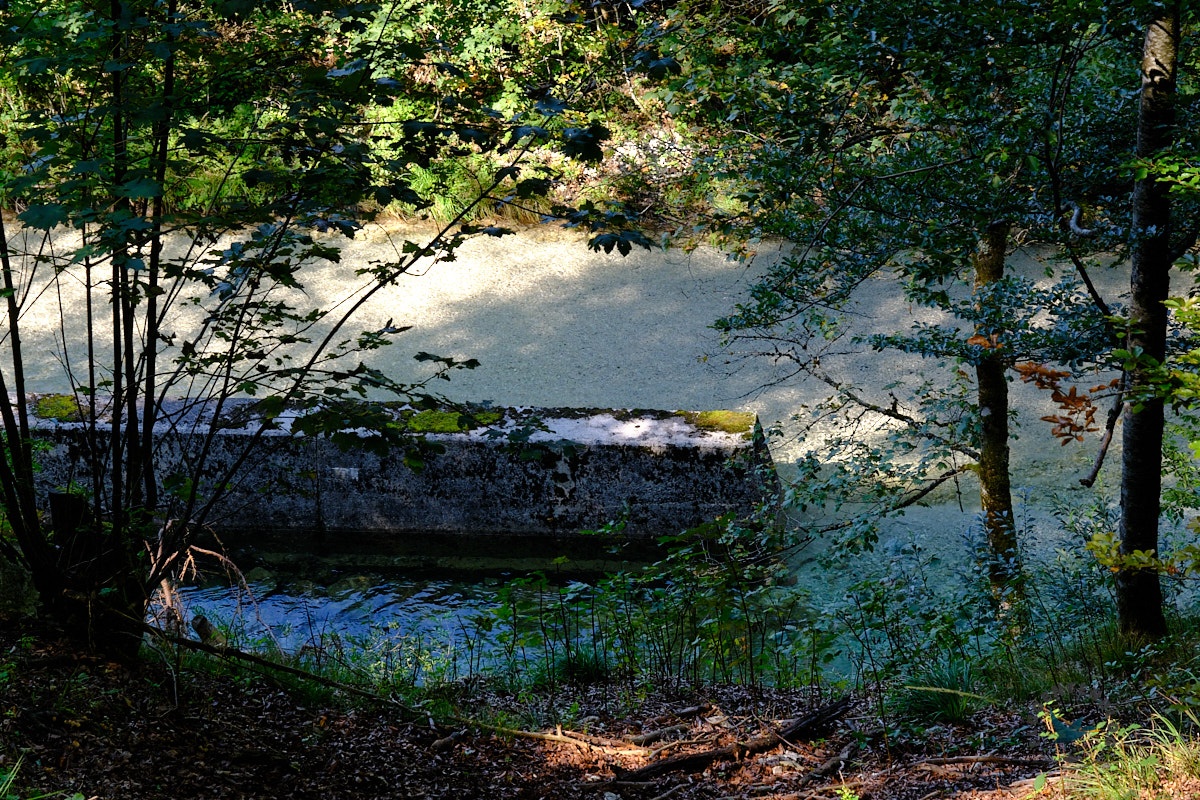 FlugenteAmBerg: Brandberg (Almseeblick) - FLUGENTENBLOG
